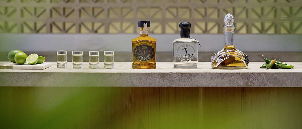 Find The Best Tequila For Shots And Learn About The Best Tequila in Mexico!