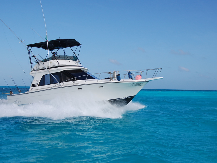 The Ultimate Deep Sea Fishing Guide For Your Vacation in Mexico