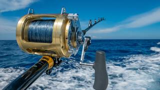 The Ultimate Deep Sea Fishing Guide For Your Vacation in Mexico